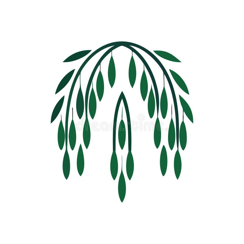 Elegant Willow Tree Logo with Simple Green Leaf Design on White ...