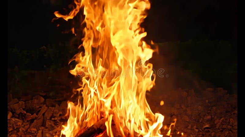 Burning Flames Loop - Abstract Fire Background Animation Stock Video ...