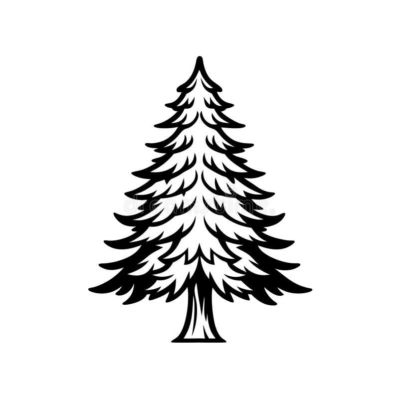 Elegant Spruce Tree Bold Design Stock Illustration - Illustration of ...