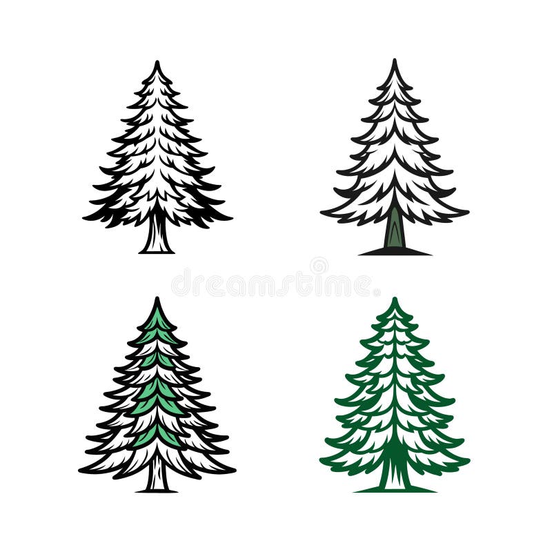 Elegant Spruce Tree Bold Design Stock Vector - Illustration of outdoor ...