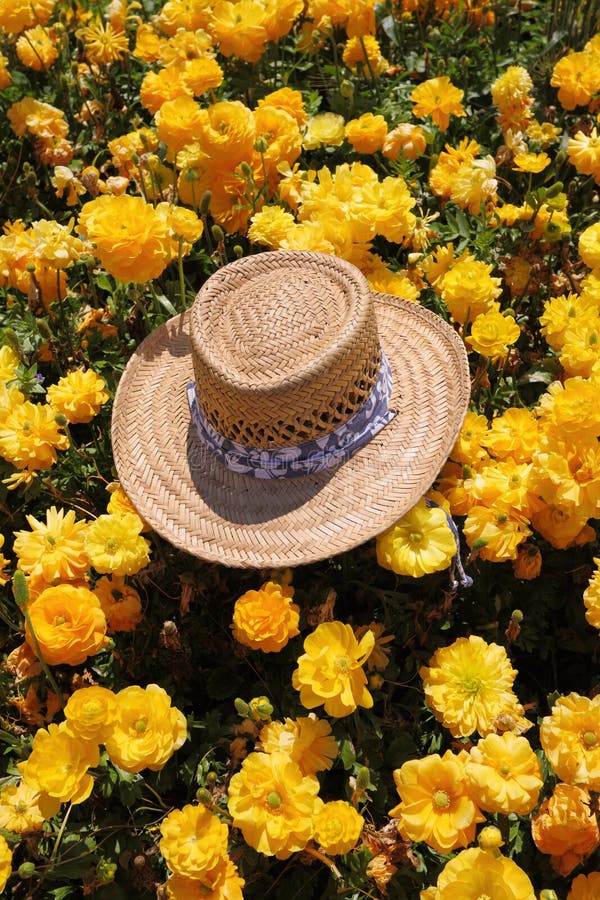 The Elegant Straw Hat in the Field Stock Image - Image of tourist ...