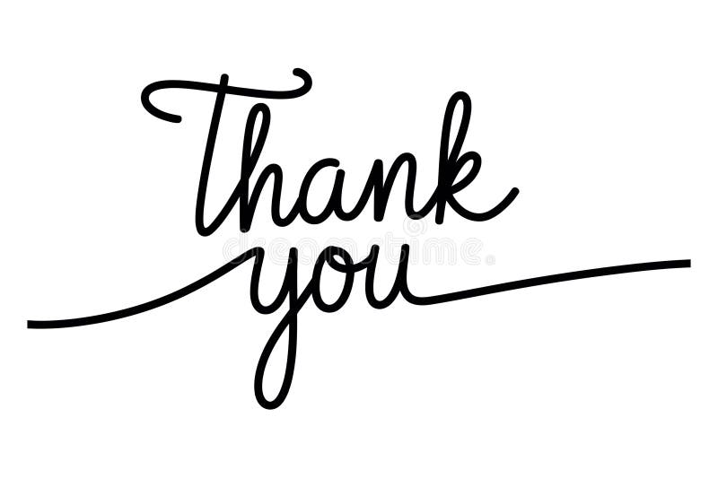 Elegant Thank You Script on White Background Stock Illustration ...