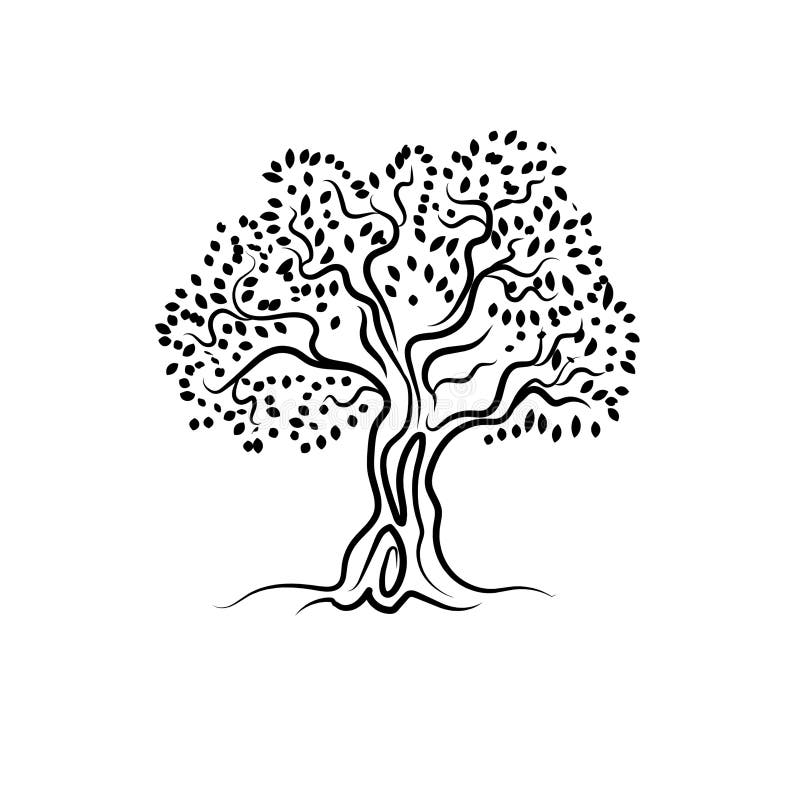 Elegant Tree Illustration Vector Stock Vector - Illustration of elegant ...