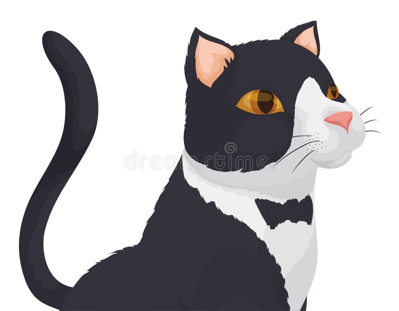 Elegant Tuxedo Cat with Patch Like a Bow Tie, Vector Illustration Stock ...