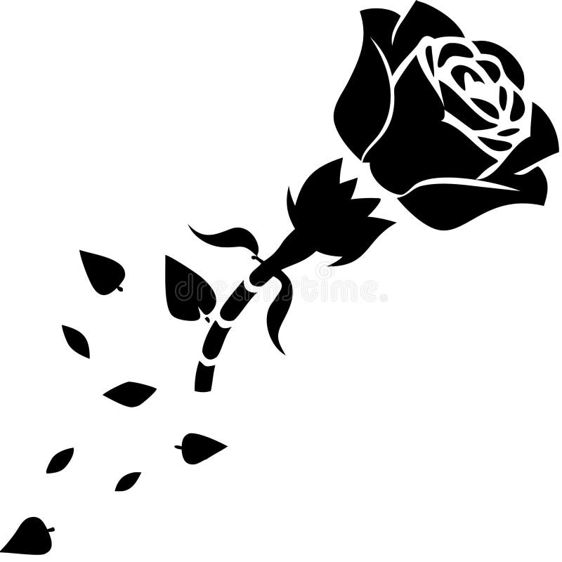 Elegant Black Rose Silhouette with Falling Petals Vector Design for ...