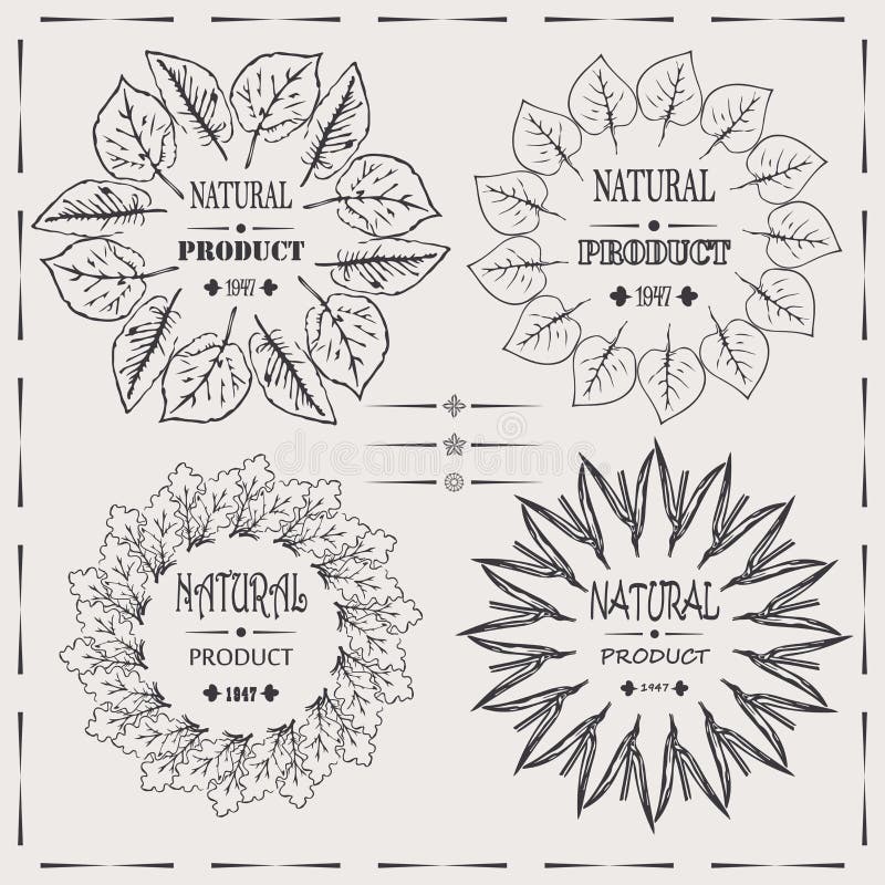 Elegant Vector Frames Natural Product Vintage Hipster Cool Design Stock ...
