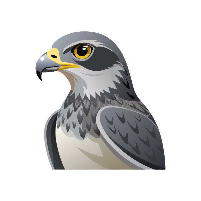 Elegant Gray Hawk Bird Vector Stock Illustration - Illustration of ...