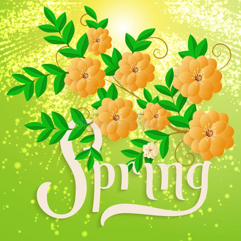 Elegant Vector Spring Invitation Card. Stock Vector - Illustration of ...