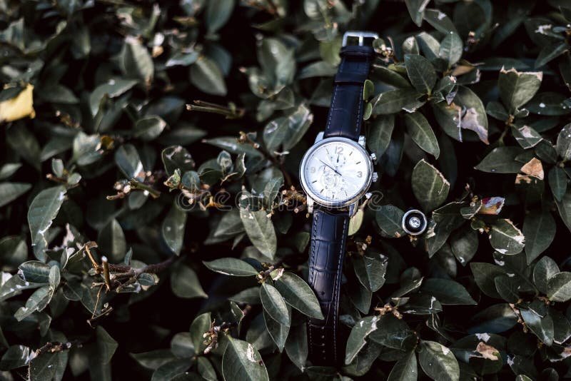 Elegant Watch and Cufflink on Green Leaves Background Stock Photo ...