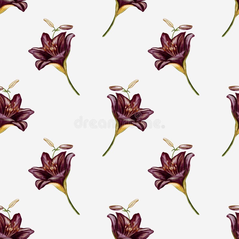 Elegant Watercolor Lilies Pattern for Textile and Wrapping Paper Design ...