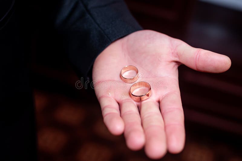 Elegant Wedding Rings Resting in a Hand Stock Photo - Image of occasion ...