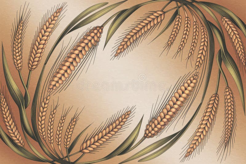 Elegant Wheat Border Design Featuring Detailed Grains on Rustic ...
