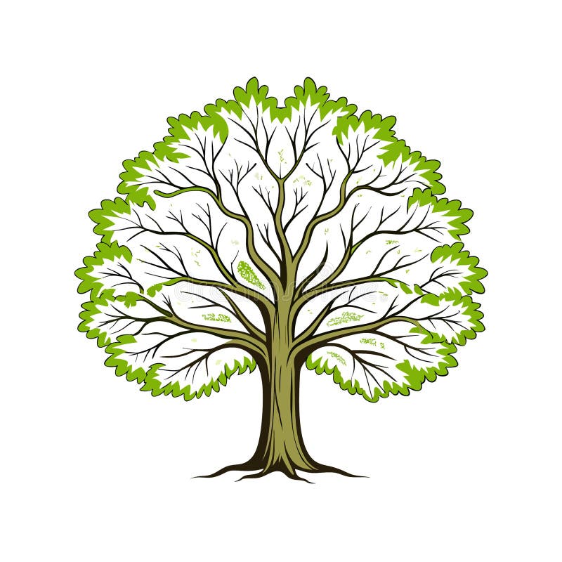 Elegant White Ash Tree Design Stock Illustration - Illustration of ...