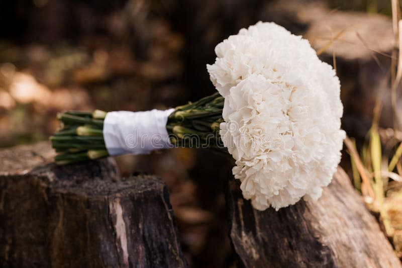 Elegant White Carnation Bouquet on Rustic Log Stock Photo - Image of ...