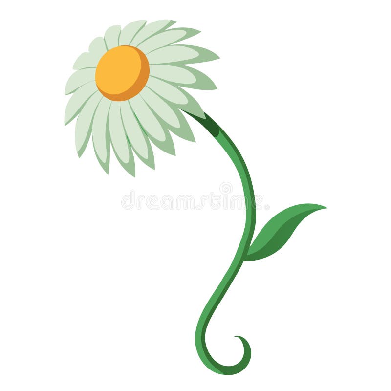 Elegant White Daisy with Green Stem Illustration: Nature and Spring ...