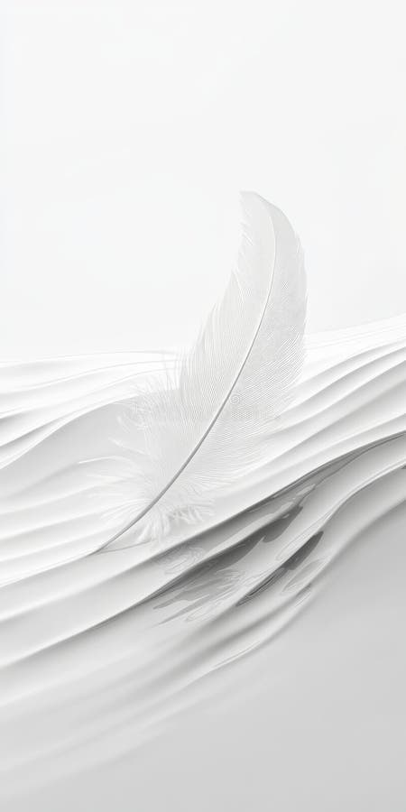 Elegant White Feather Resting on Smooth, Wavy Surface in Minimalist ...