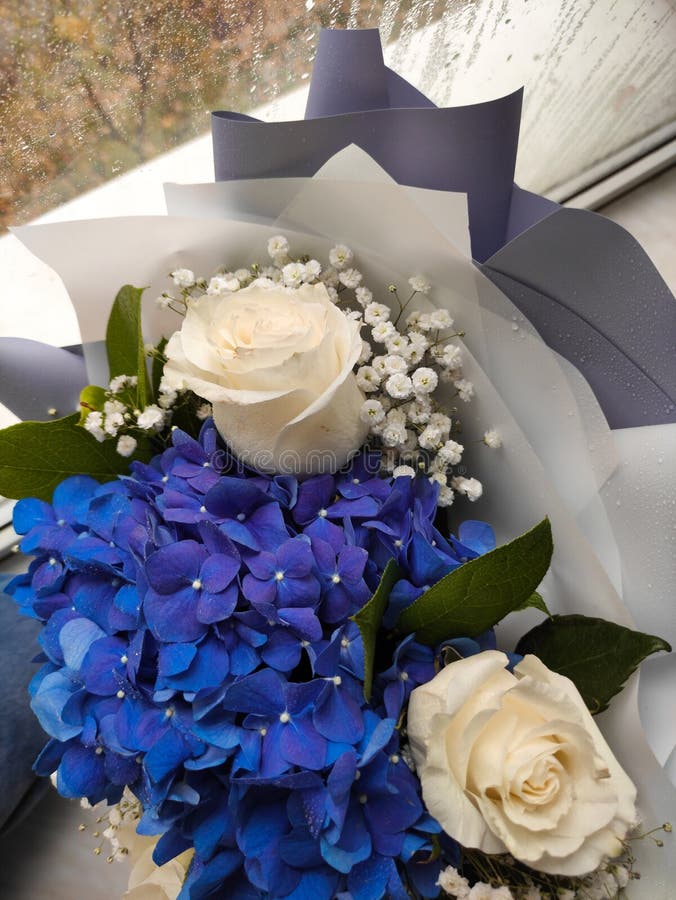 Elegant White Rose and Blue Hydrangea Bouquet Stock Image - Image of ...
