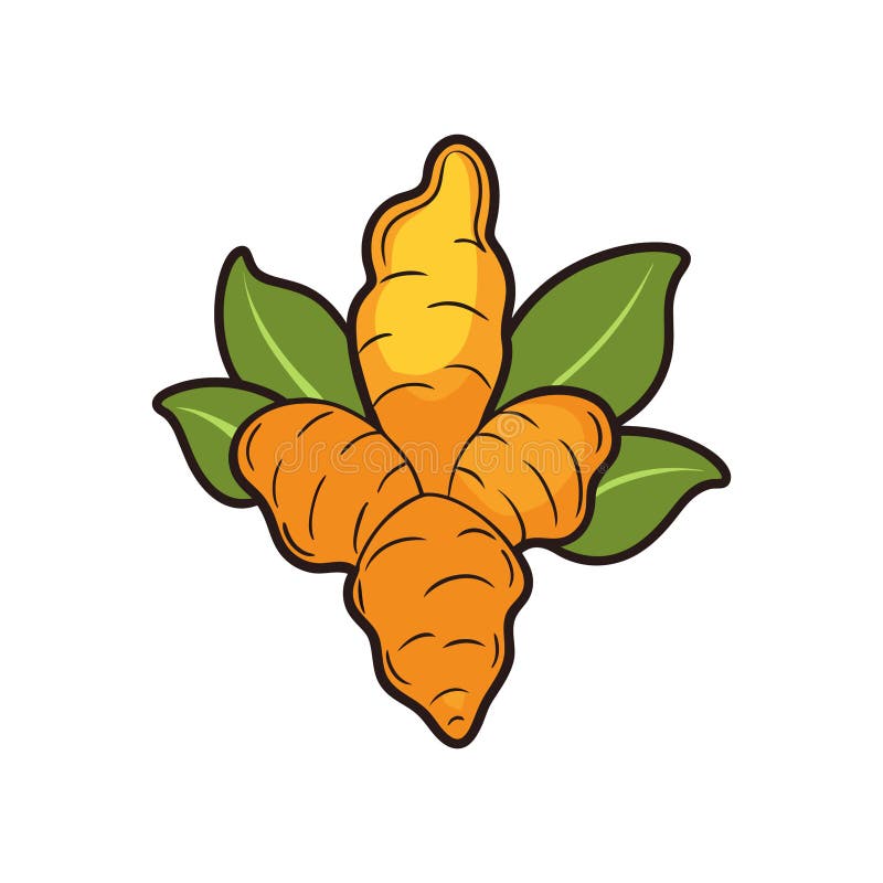 Elegant Wild Ginger Flower Art Stock Illustration - Illustration of ...