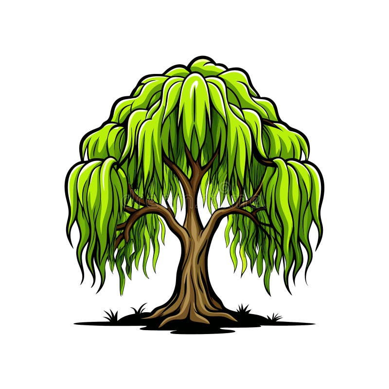 Elegant Willow Tree Design stock illustration. Illustration of willow ...