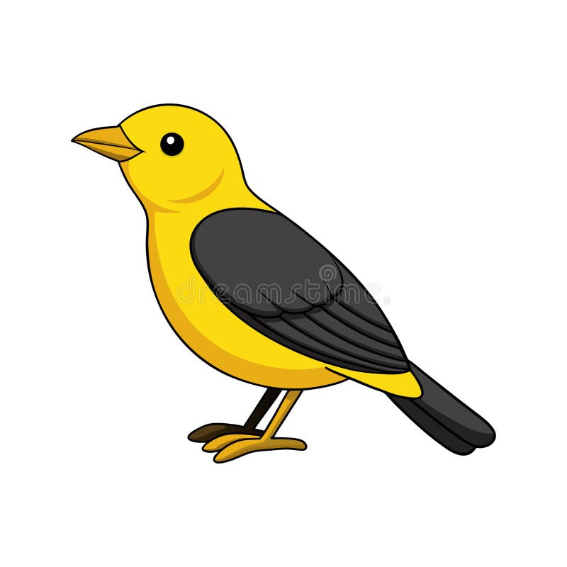 Elegant Yellow-headed Blackbird Bird Vector Stock Photo - Illustration ...