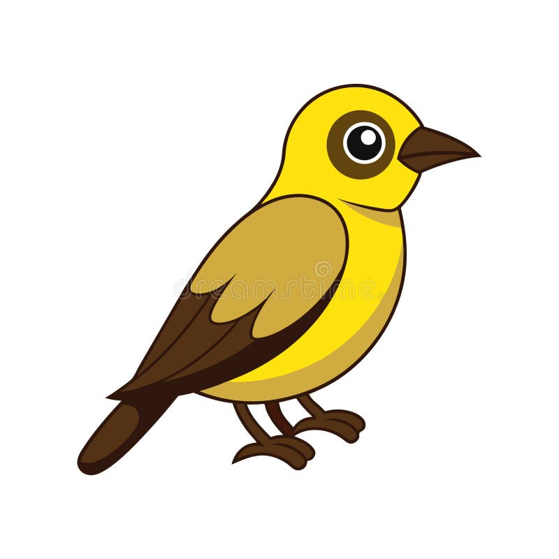 Elegant Yellow-vented Bulbul Bird Vector Stock Illustration ...