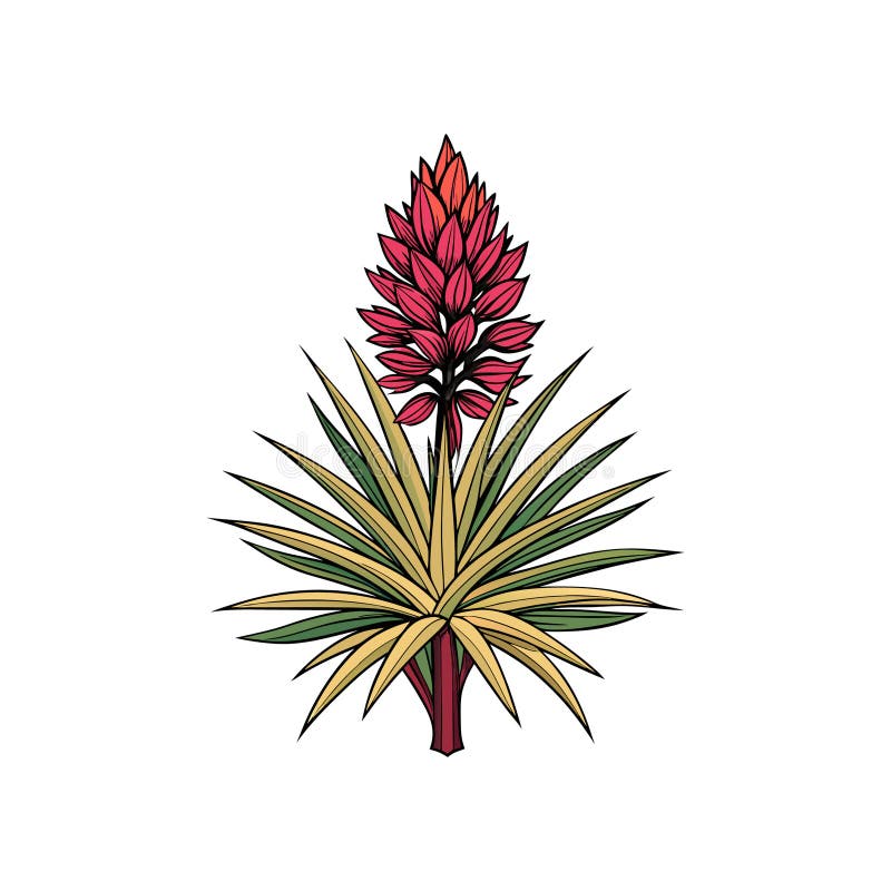 Elegant Yucca Flower Showcasing Style and Grace Stock Photo ...