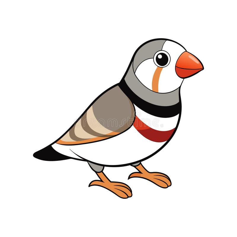 Elegant Zebra Finch Bird Vector Stock Illustration - Illustration of ...