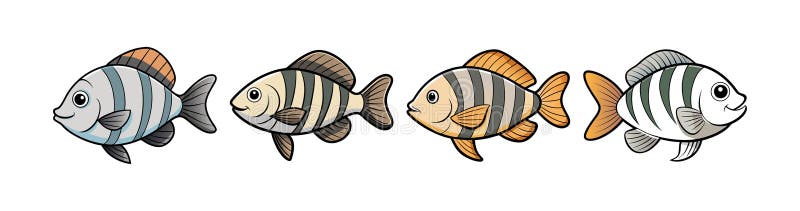 Elegant Zebra Tilapia Fish Color Design Stock Vector - Illustration of ...
