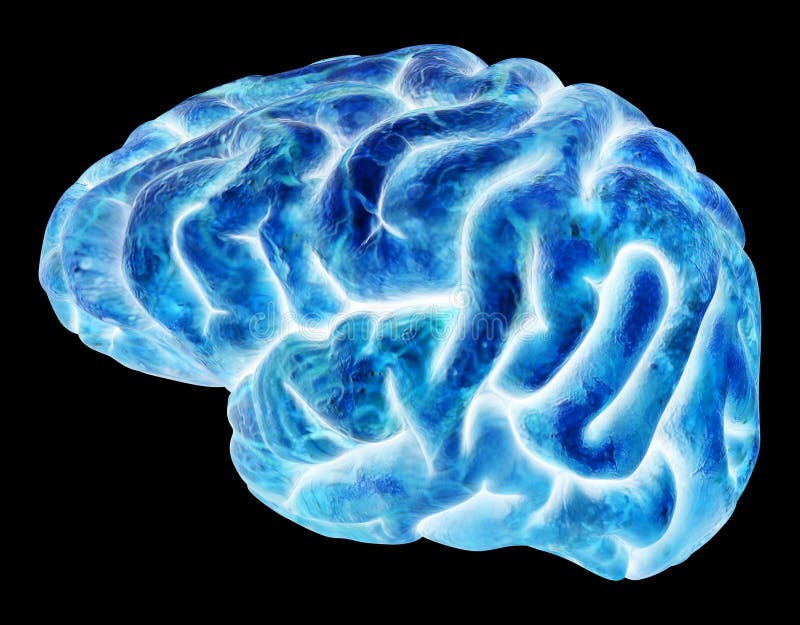Mensch Brain Body Part, Gedanke Stock Abbildung - Illustration von ... Mensch Brain Body Part, Gedanke Stock Abbildung - Illustration von ...