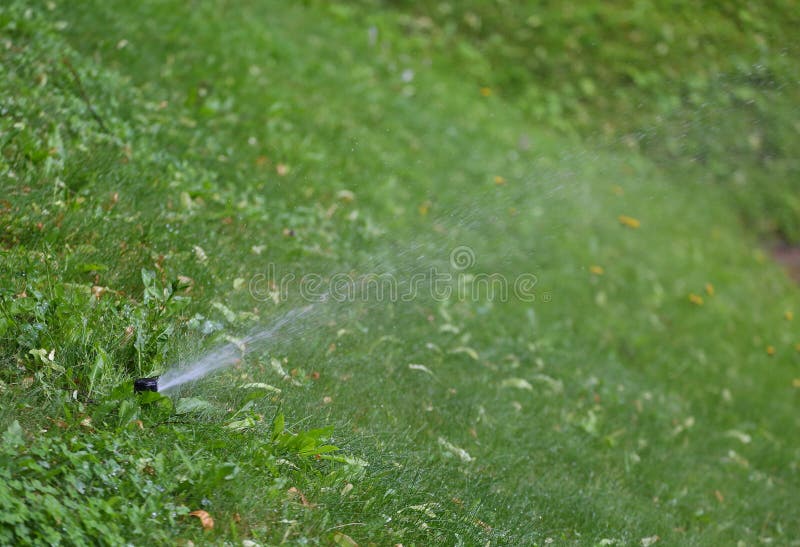 An Element of an Automatic Irrigation System Waters the Lawn with a Jet ...