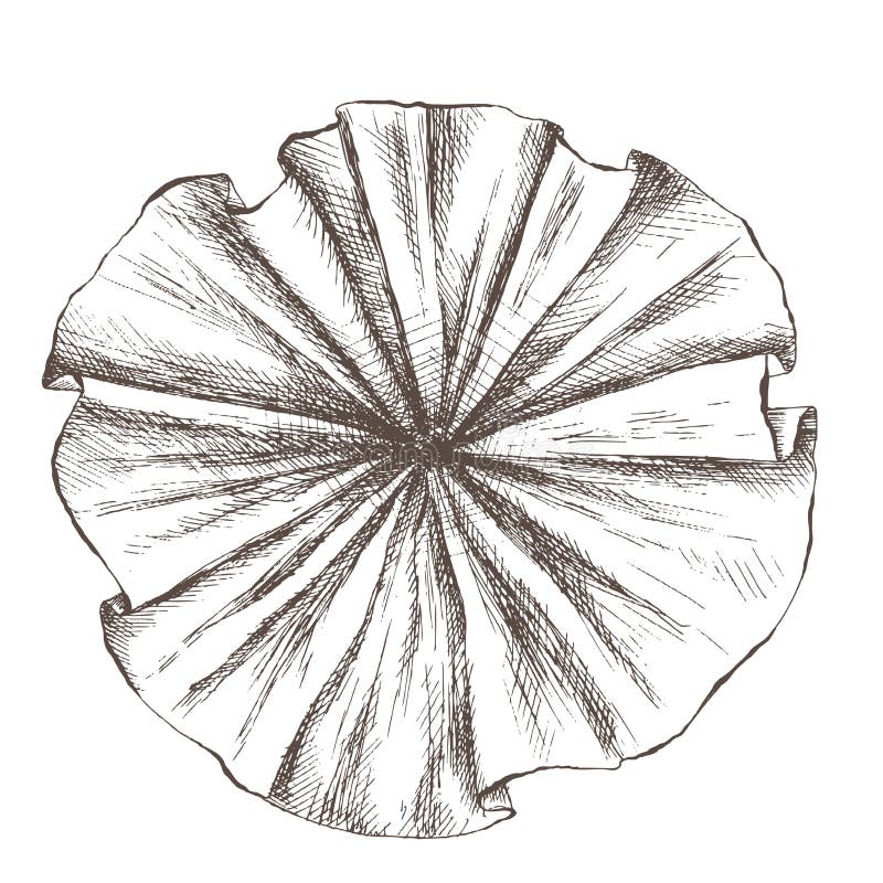 An Element of Decoration for Patriotic Holidays. Isolated Object on ...