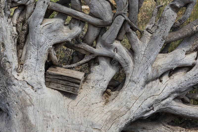 Element of Entourage in the Garden Stock Image - Image of season ...