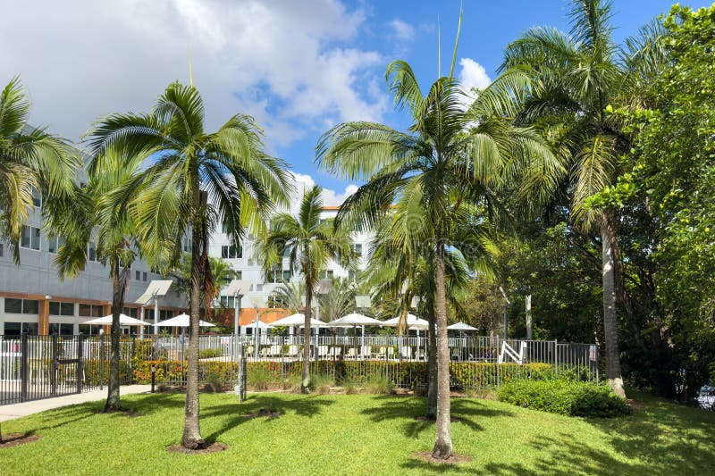 Element by Marriott, Miami International Airport. Editorial Photo ...