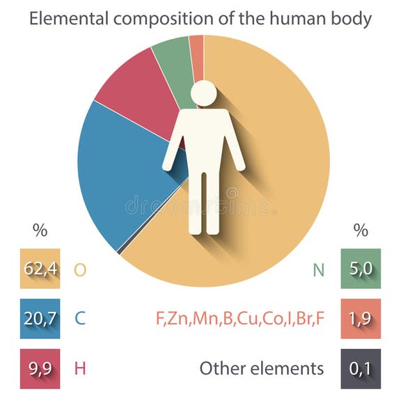 Body Composition Stock Illustrations – 57,886 Body Composition Stock ...