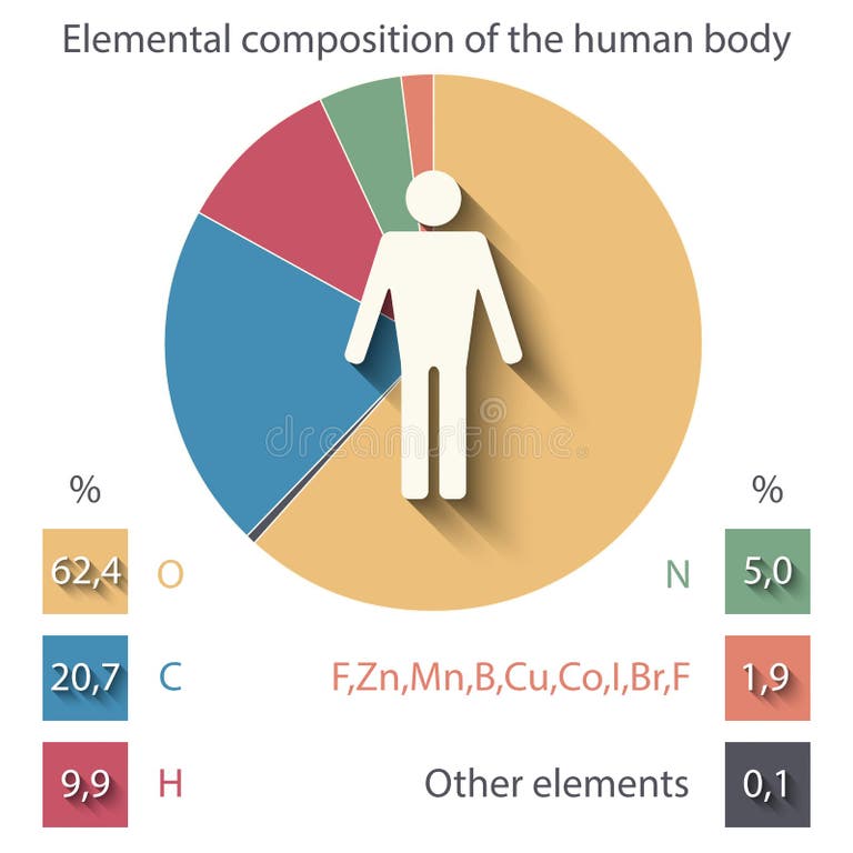 Elemental Composition of the Human Body Stock Vector - Illustration of ...