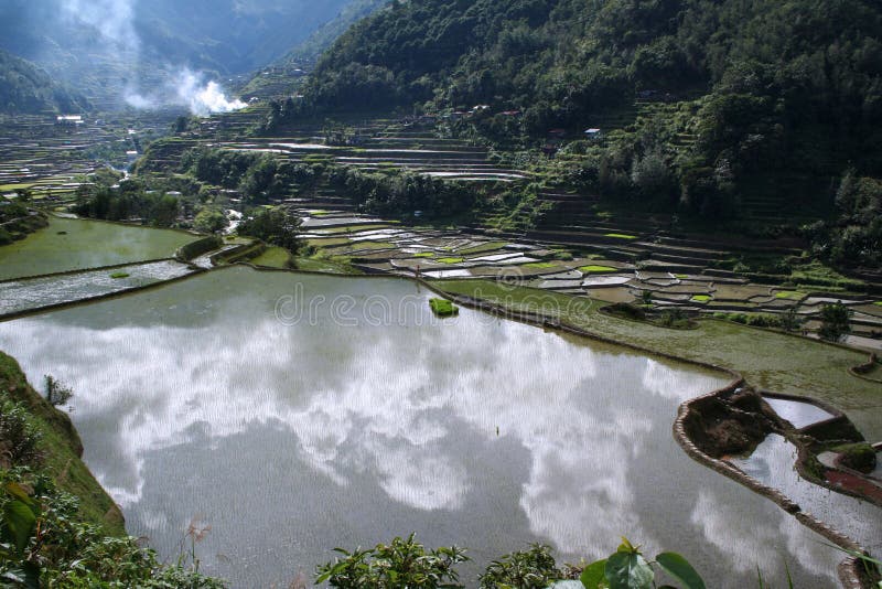 Elemental Landscape Rice Terraces Philippines Stock Image - Image of ...