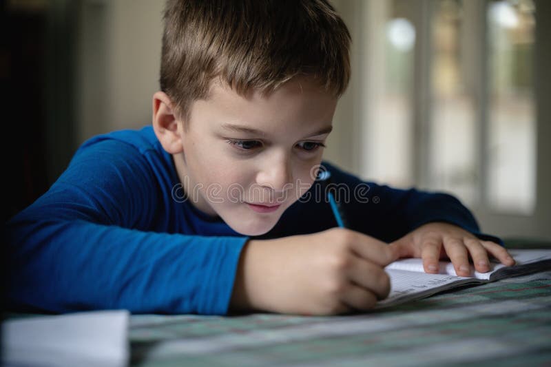 Elementary School Caucasian Boy Studying at Home Stock Image - Image of ...