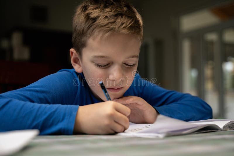 Elementary School Caucasian Boy Studying at Home Stock Photo - Image of ...