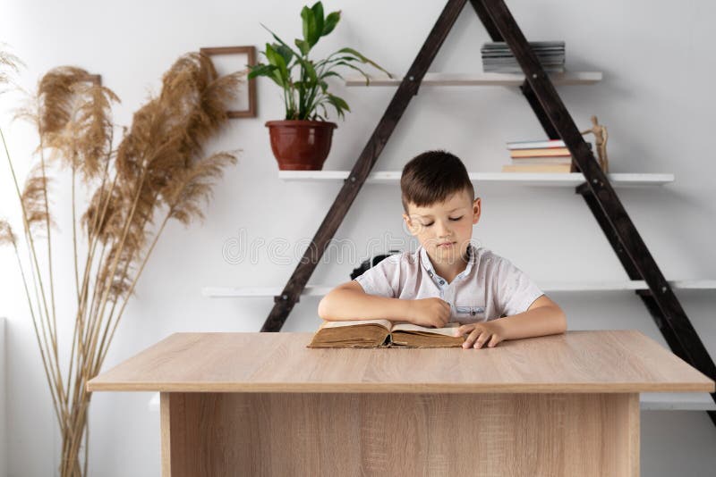 Elementary School Student Reading a Book or Textbook Sitting in the ...