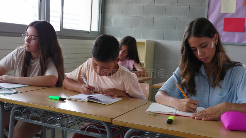 Young Student Concentrating on Studying in Classroom Stock Video ...