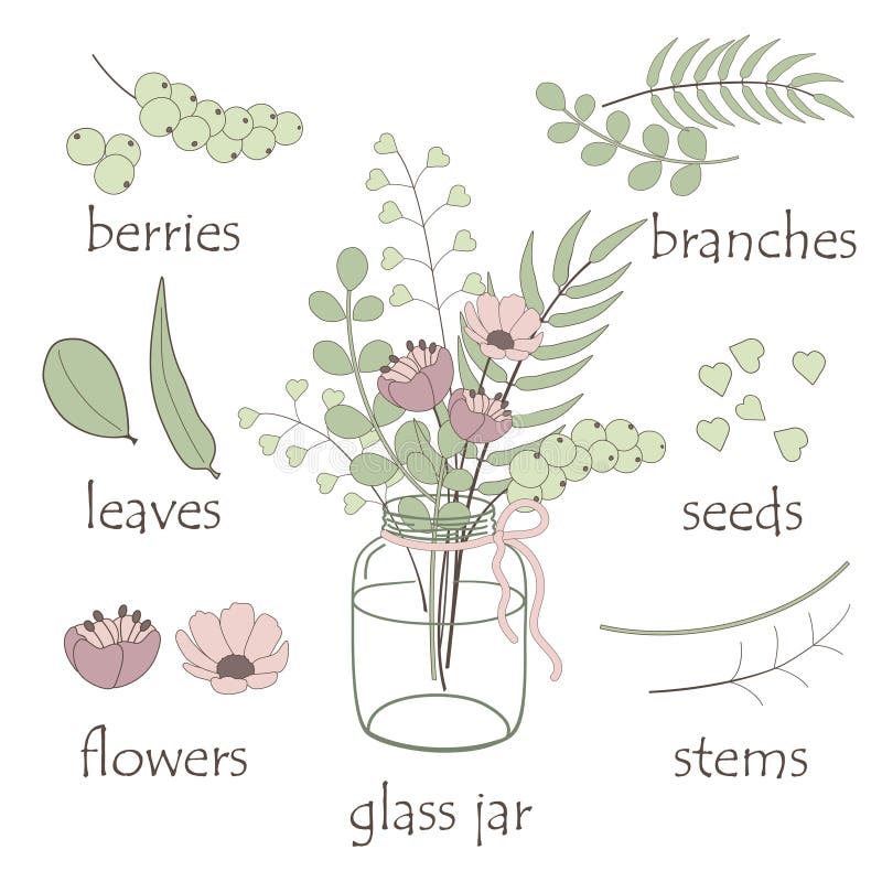 Elemente von Botanik vektor abbildung. Illustration von hintergrund ...