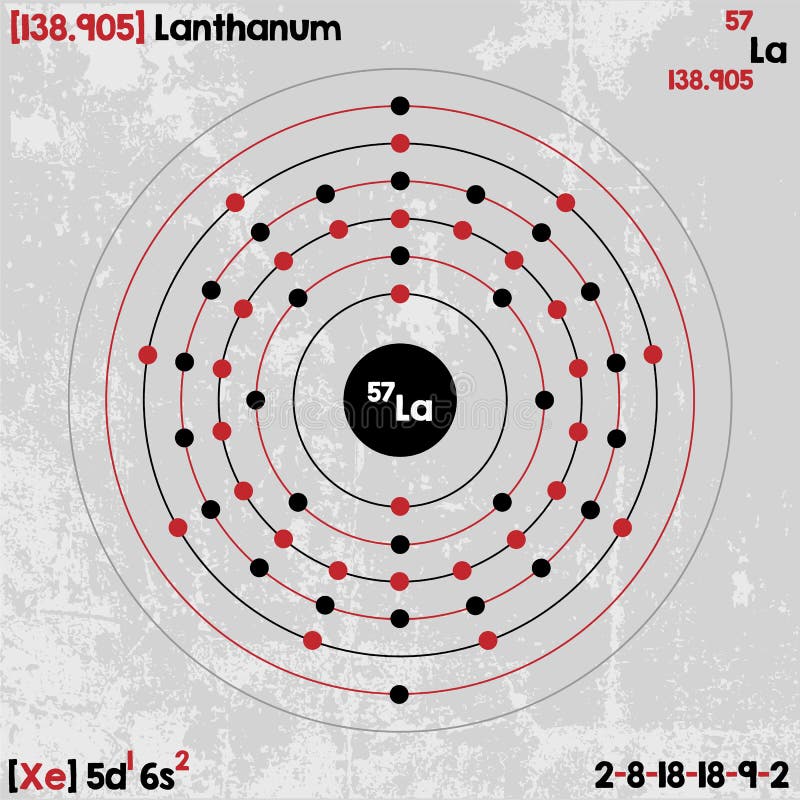 Lantano Ilustraciones Stock, Vectores, Y Clipart – (654 Ilustraciones ...