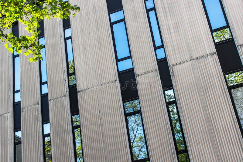 Elementos Arquitetónicos - Janelas Estreitas Imagem de Stock - Imagem ...