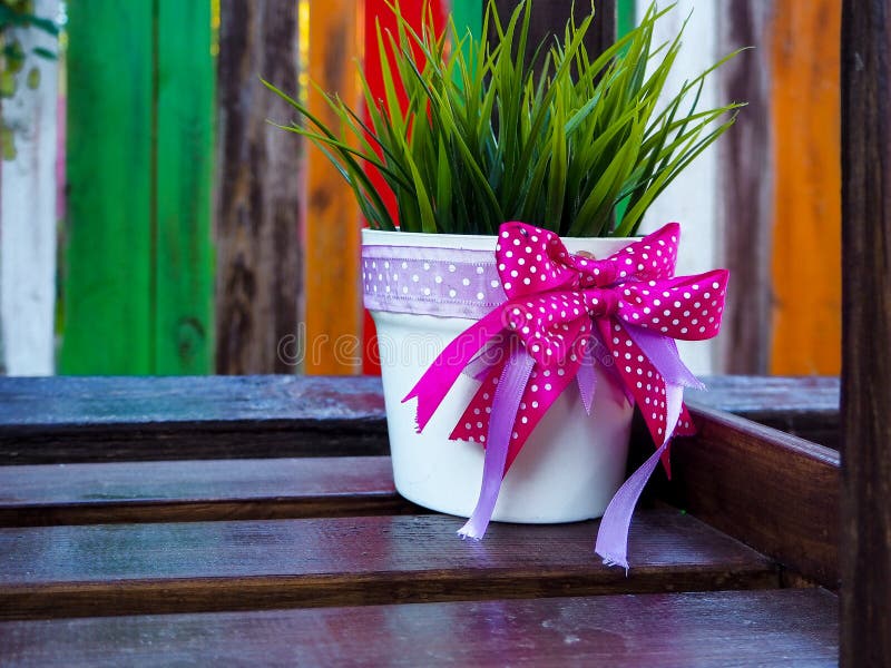 Elementos Decorativos De Materiales Artificiales Y Plantas Especiales ...