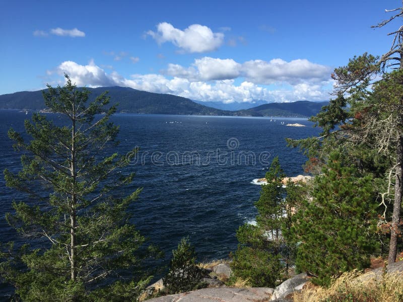 Elements stock photo. Image of choppy, green, trees - 129322476