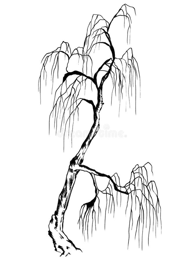 Black Color Old Tree Drawing Stock Illustration - Illustration of ...