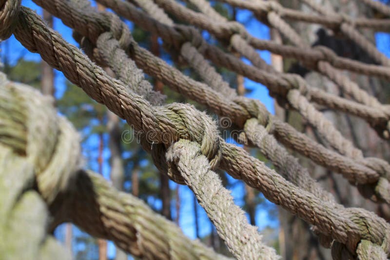Elements of a Rope Park, Stairs, Platforms on Trees, Outdoor Activities ...