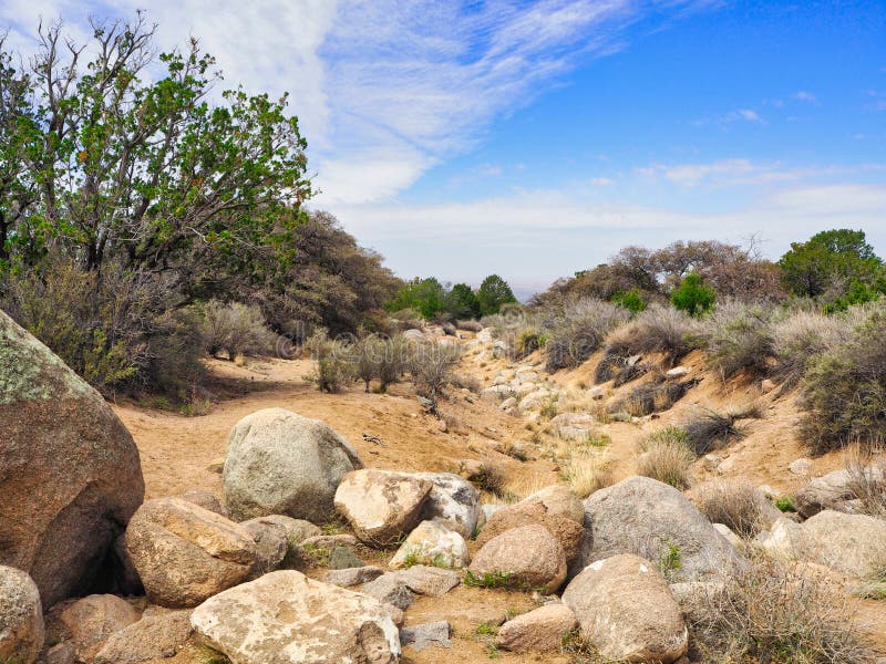 Elena Gallegos Open Space in Albuquerque Stock Photo - Image of wooden ...