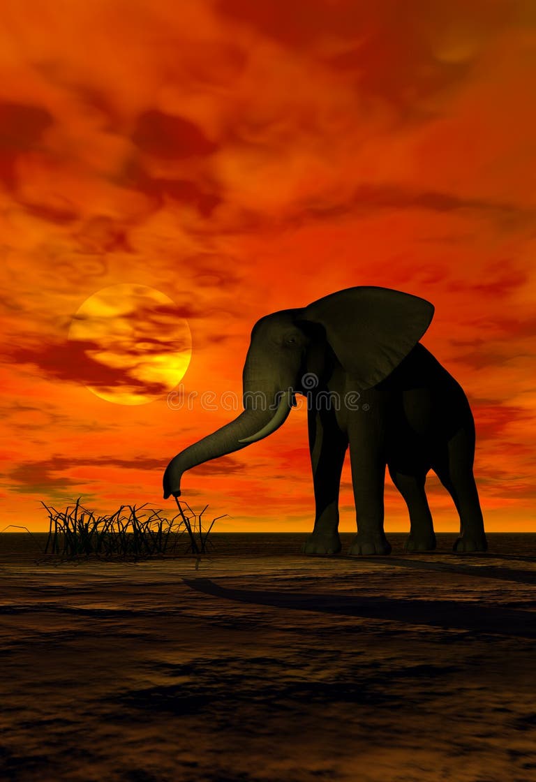 Orange Elephant Head Stock Illustrations – 977 Orange Elephant Head ...