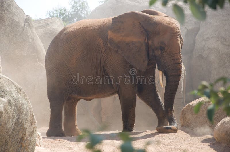 Women with lemons on face stock photo. Image of good - 23047868